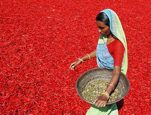 Traditional African vegetables hit the mainstream – Agricultural ...