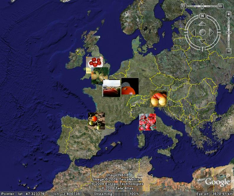 Tomato diversity in Google Earth – Agricultural Biodiversity Weblog
