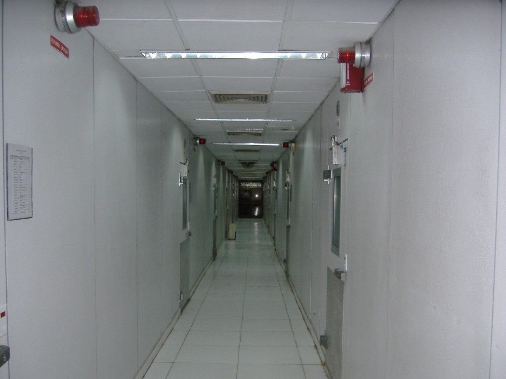 The road to Pusa Campus – Agricultural Biodiversity Weblog