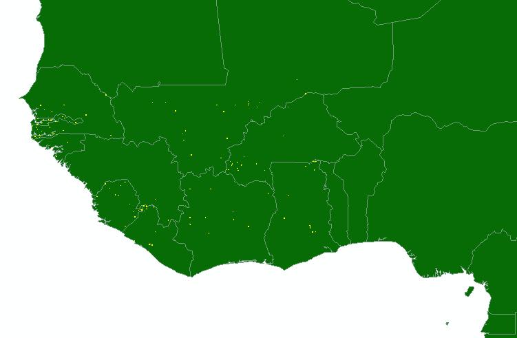 AfricaRice’s African rice collection – Agricultural Biodiversity Weblog