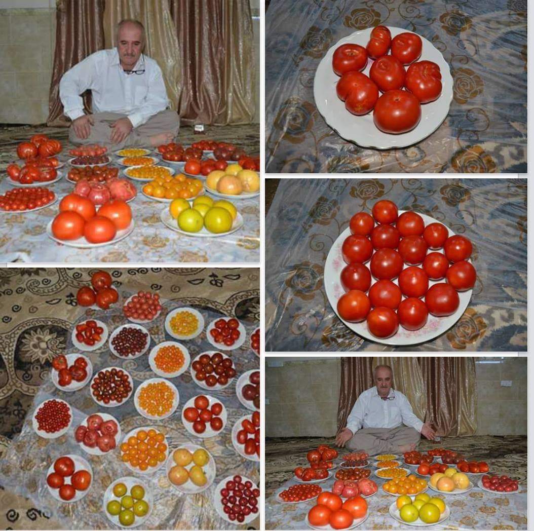 Agrobiodiversity illustrated then and now – Agricultural Biodiversity ...