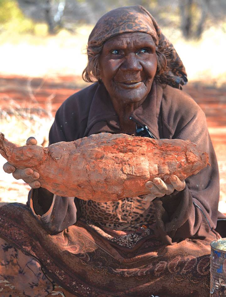 Not so sweet potatoes – Agricultural Biodiversity Weblog