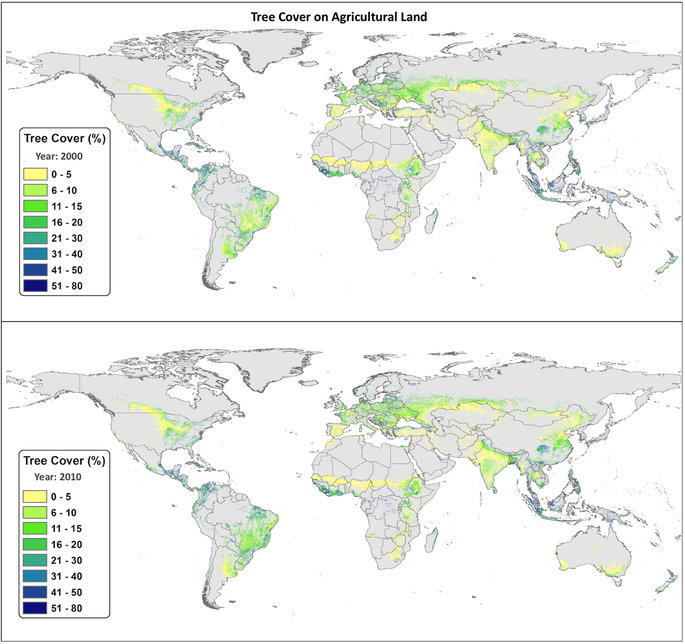 Agroforestry around the world – Agricultural Biodiversity Weblog