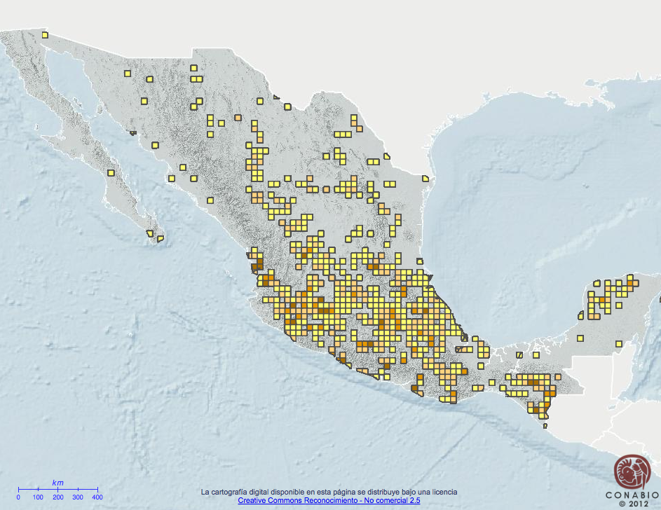 Mapping the hell out of maize diversity in Mexico – Agricultural ...