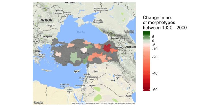 Mapping wheat diversity in Turkey – Agricultural Biodiversity Weblog