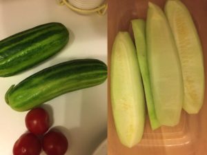 A roundabout way of learning about caroselli – Agricultural ...