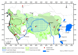 Back to the future for the forests of Central Africa – Agricultural ...