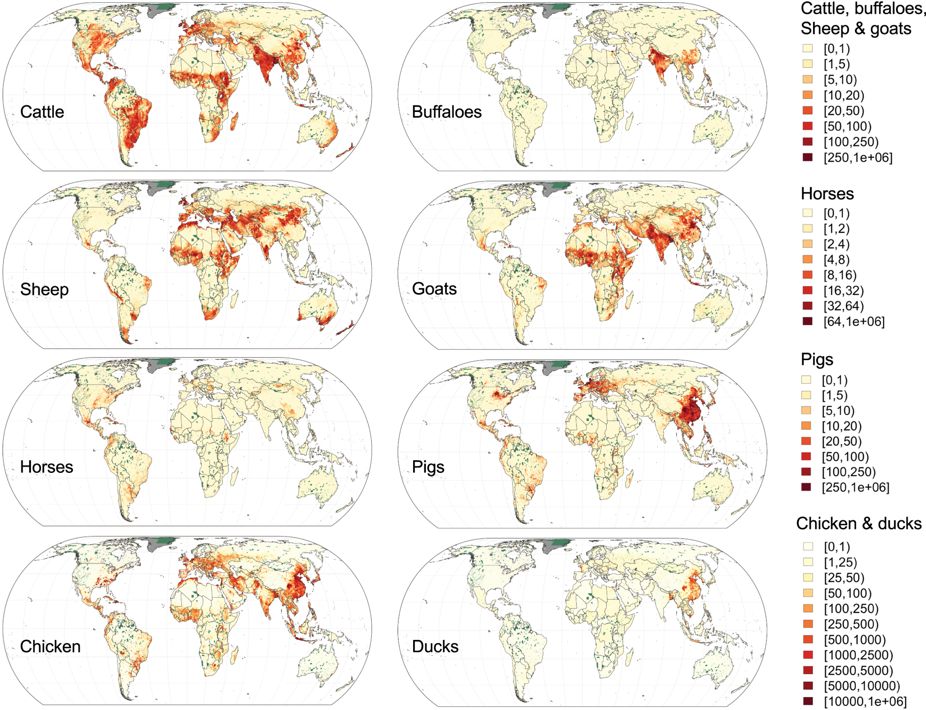 Counting your chickens – Agricultural Biodiversity Weblog
