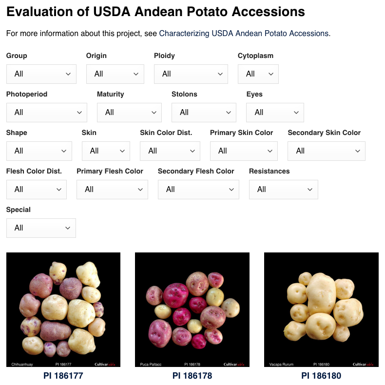 One-man root and tuber breeding show comes to town – Agricultural ...